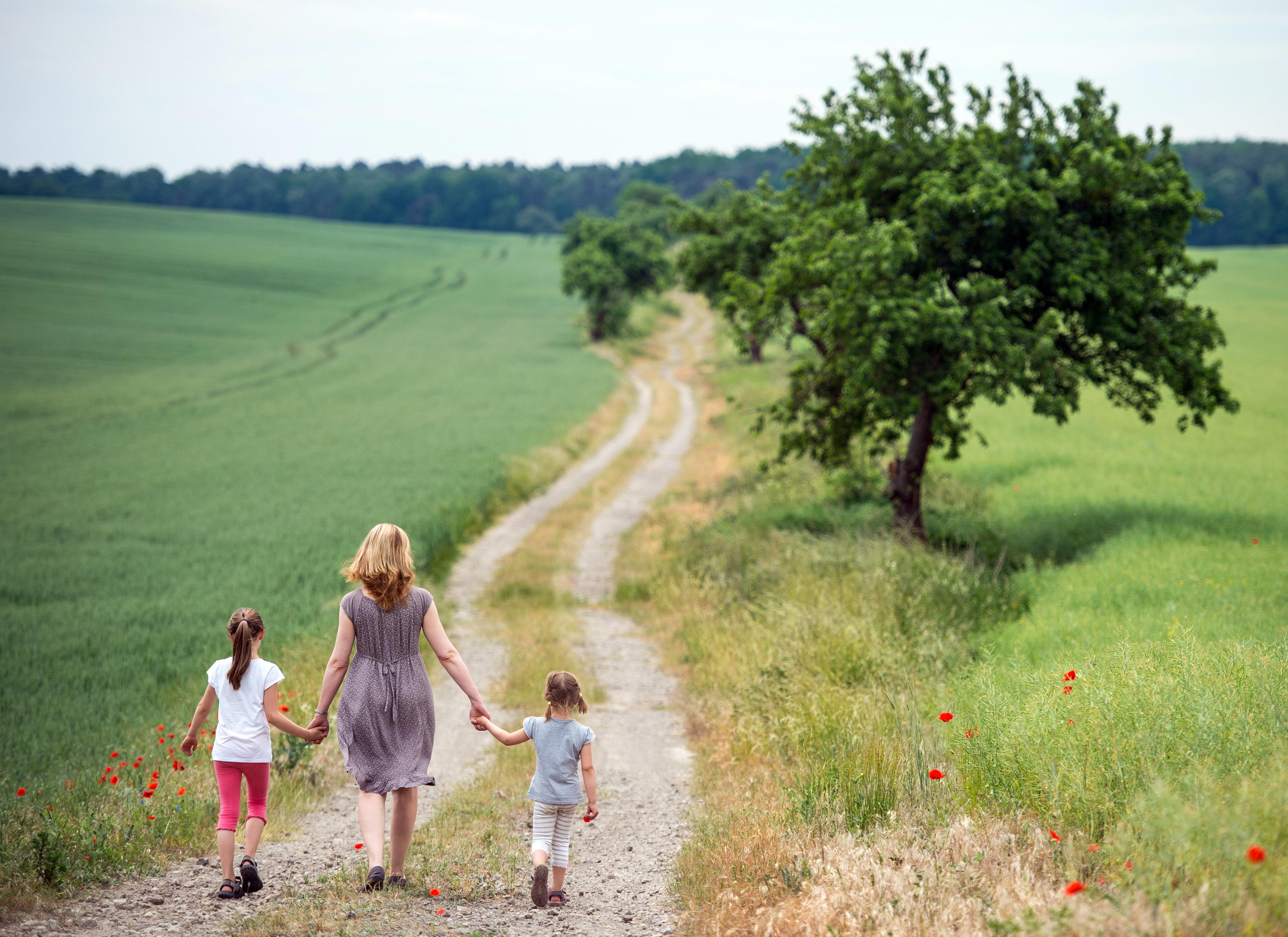Parteiprogramm der AfD - wie sich die Partei das Zusammenleben in ...