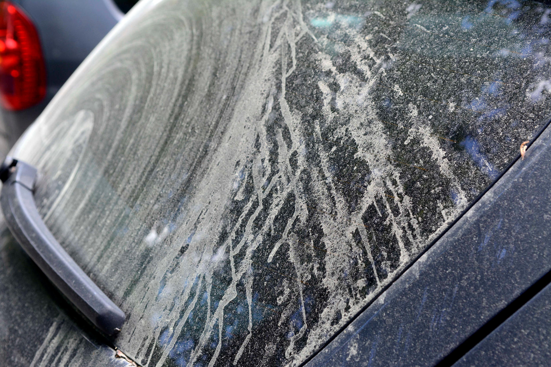 Raps, Pollen, Saharastaub: Was ist das gelbe Zeug – und wann ist es aus ...