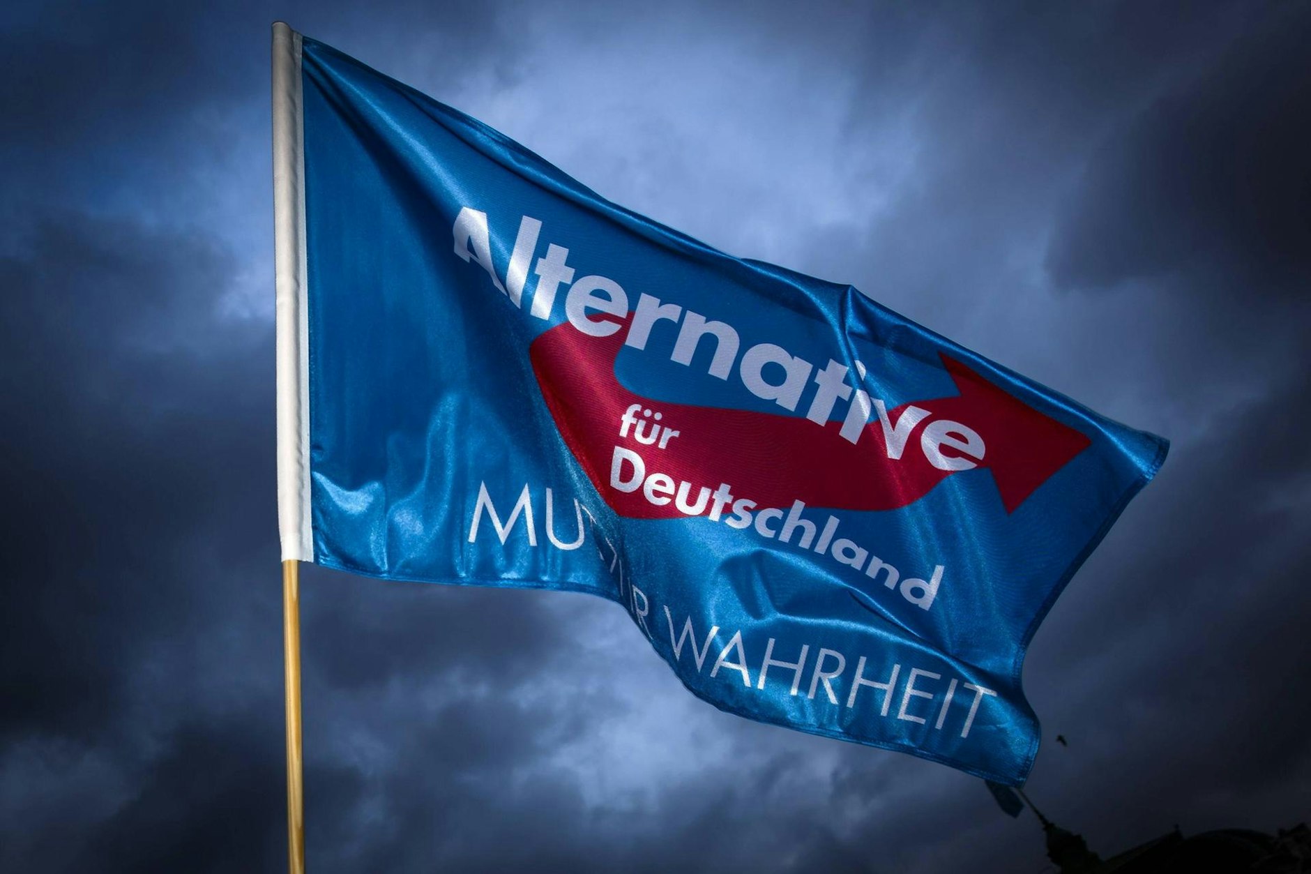 AfD: Studie über AfD-Landespolitiker zeigt Rechtsruck der Partei