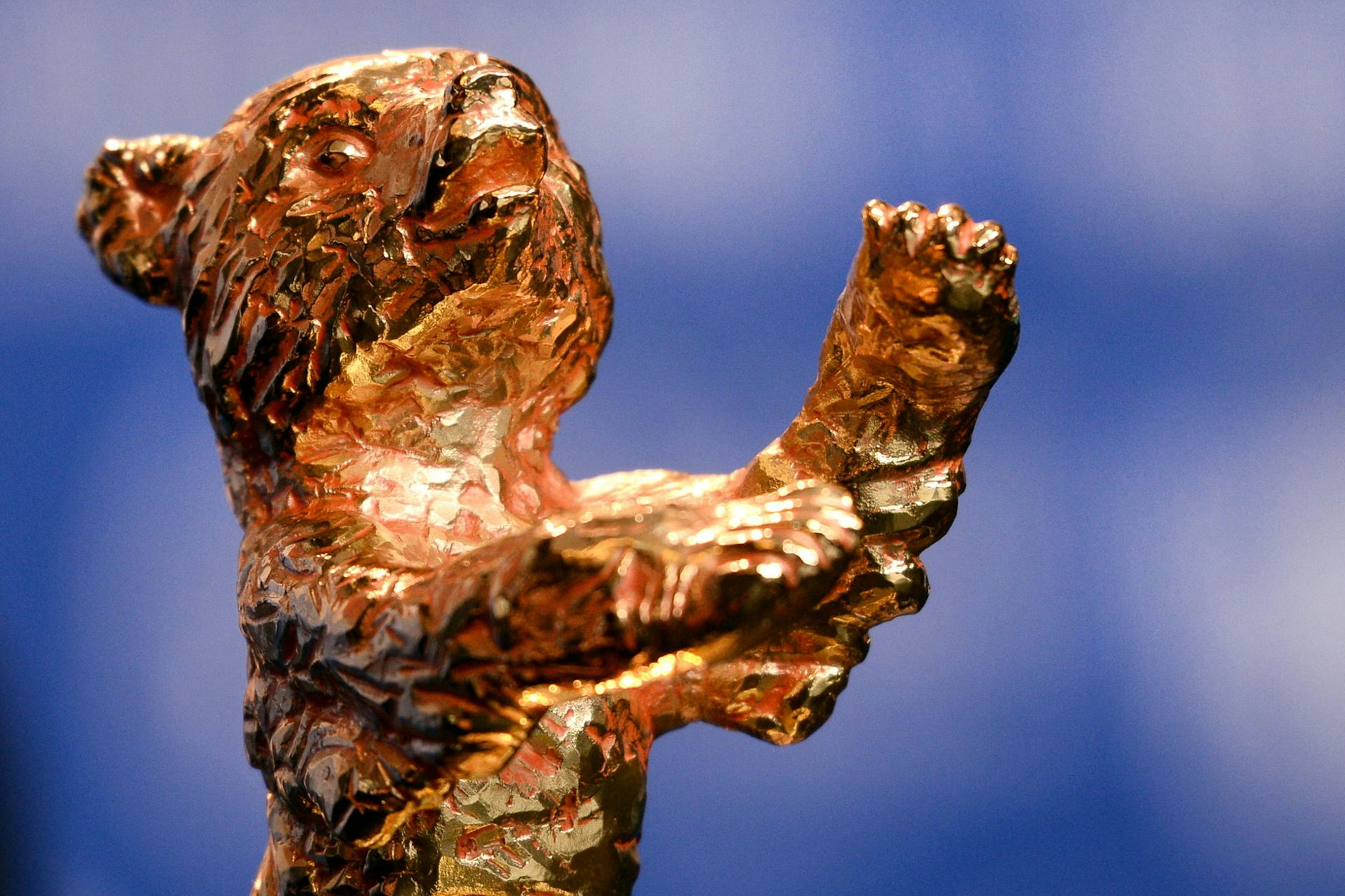 Bär von Berlin: Wie das Wappentier im Titel der Berliner Zeitung ...