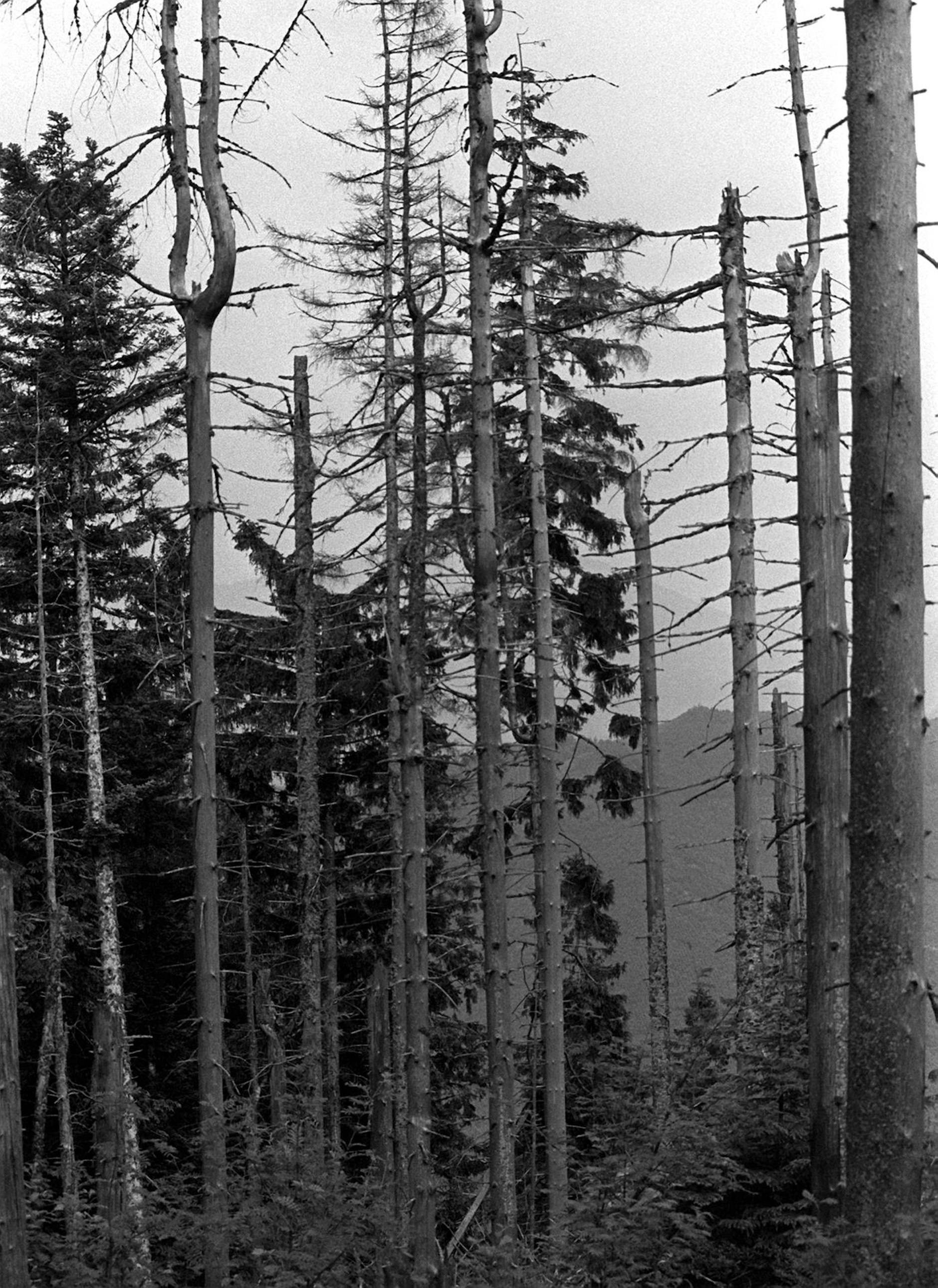 Hans Hütt: Neues Buch erzählt von den Wörtern der 70er und 80er Jahre.