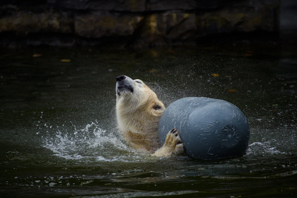 Diese Regeln gelten für Besucher von Zoo und Tierpark
