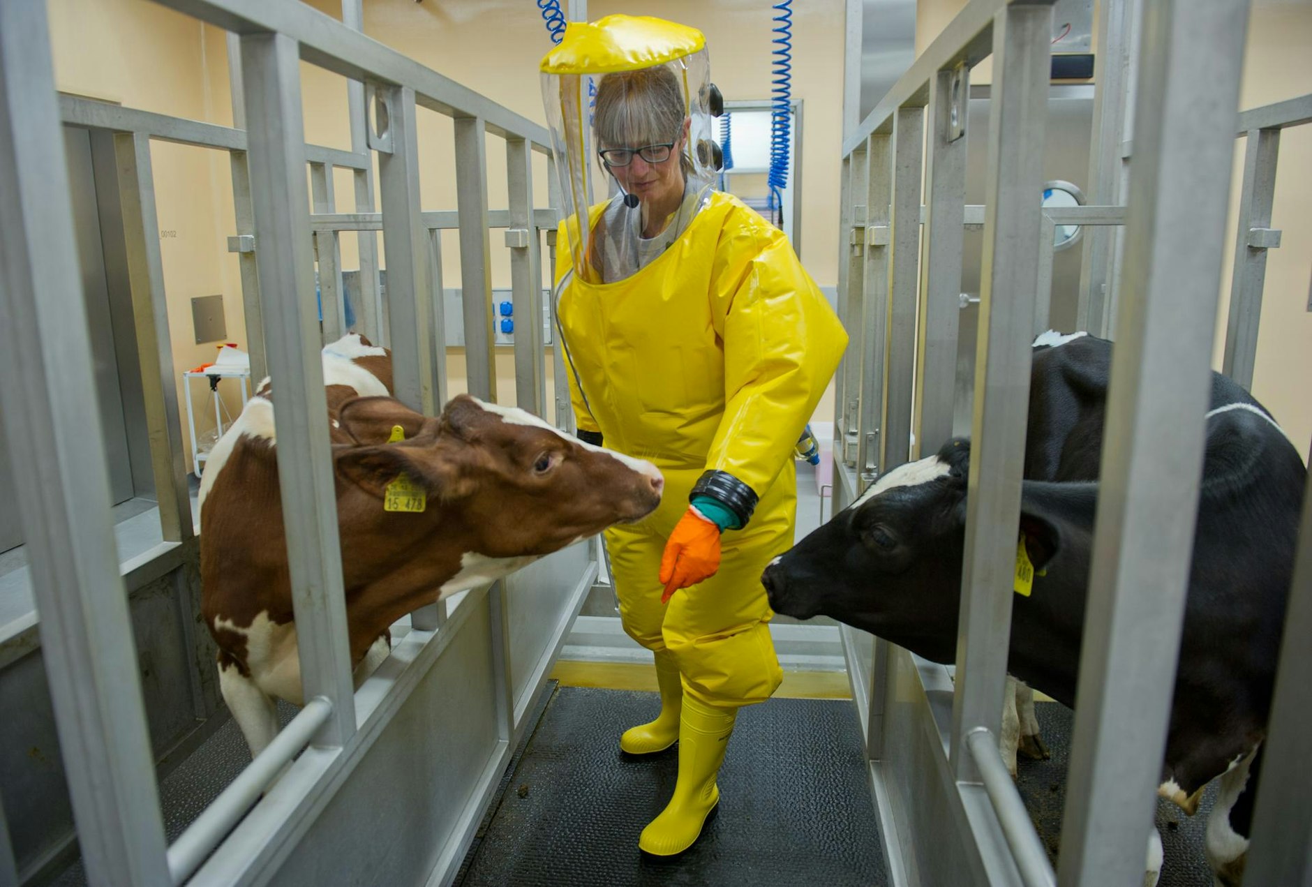 Riems: Warum diese Insel in der Ostsee die gefährlichste Deutschlands ist