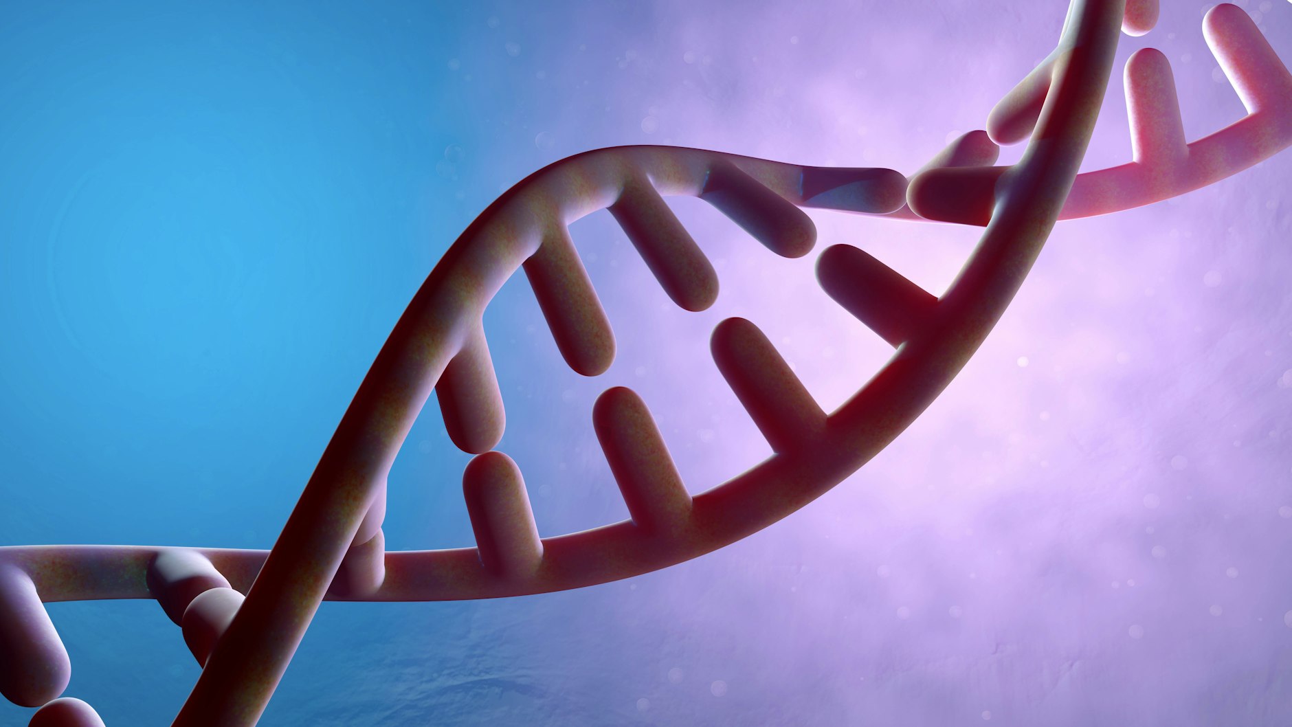 Mit der Genschere lässt sich jeder Organismus verändern