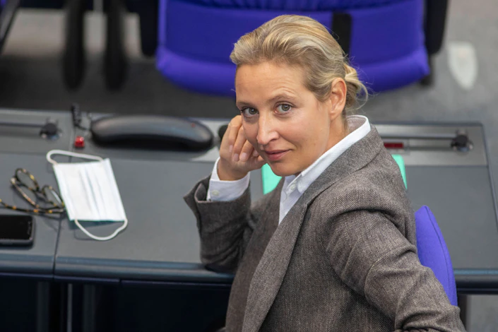 Spendenaffäre: Strafe kostet die AfD eine halbe Million Euro