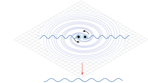 Großer Fang: Gravitationswelle war sieben Milliarden Jahre bis zur Erde ...