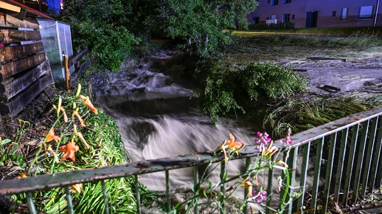 Vor 44 Jahren: Fünffachmord in Seewen gilt als größtes Gewaltverbrechen ...