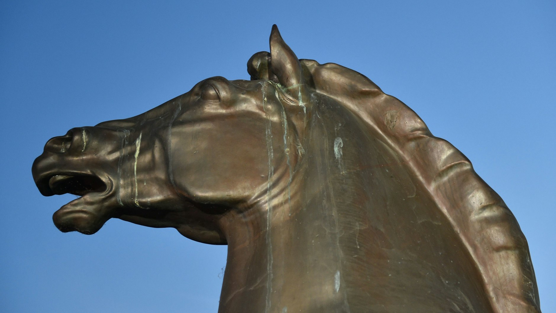Die Pferde des Hitler-Bildhauers Thorak kommen auf die Zitadelle Spandau