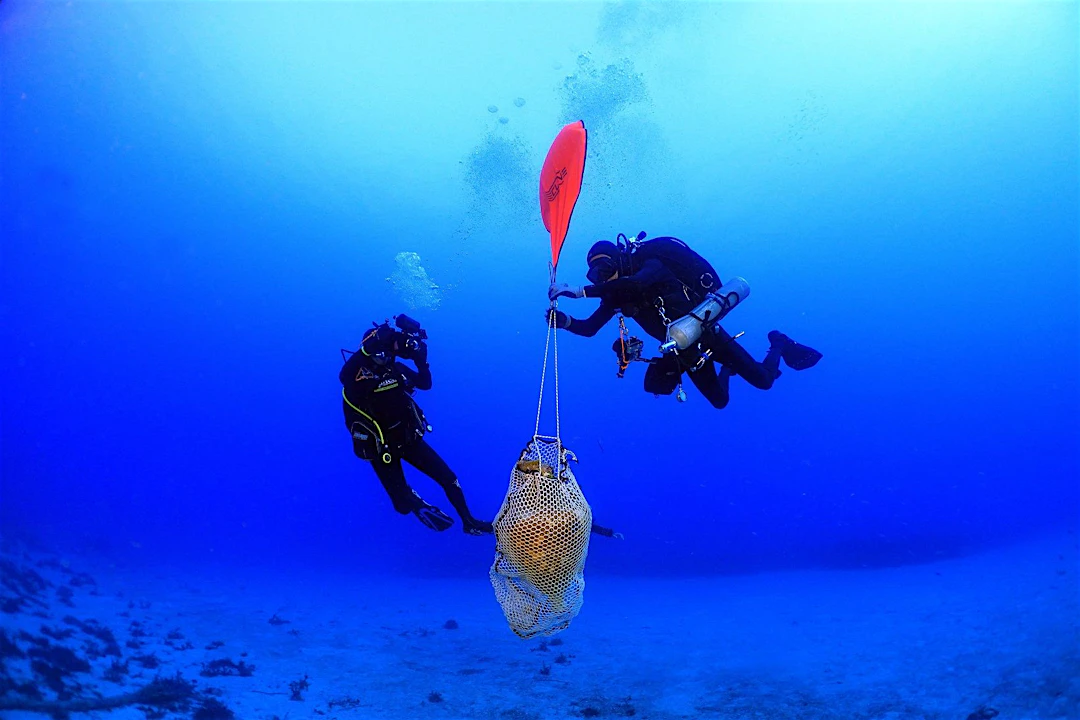 Schiffswrack vor Kasos: Forscher entdecken antiken Schatz
