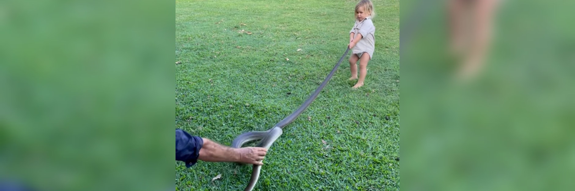 Unfassbare Szenen: Vater drängelt Sohn (2) mit einer 3-Meter-Python zu ...