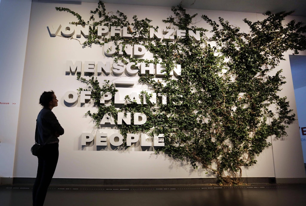 Geputzt, reingefallen, „verschönert“: Wenn Kunst dran glauben muss