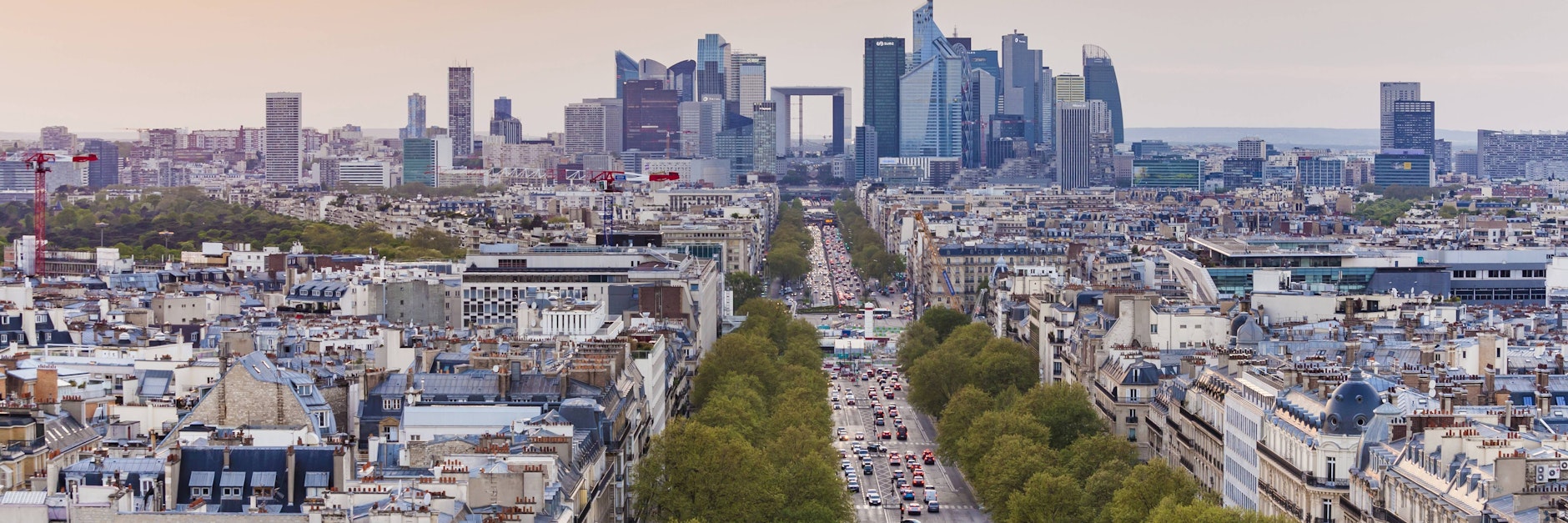Im Kampf gegen den Klimawandel: Paris pflanzt 170.000 Bäume in der Stadt