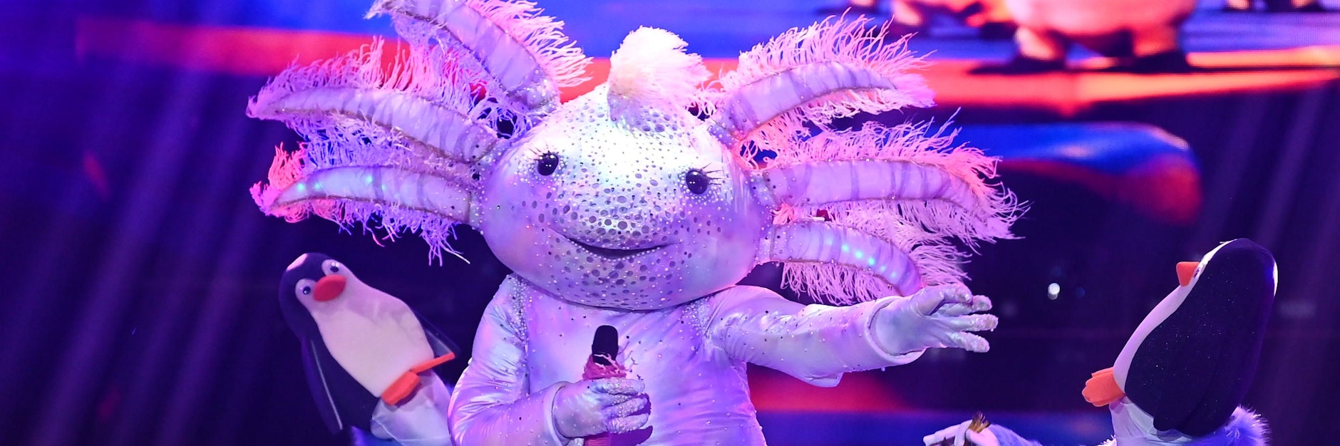 „The Masked Singer“: Axolotl aufgeflogen! DIESE Theorie haut Fans aus ...