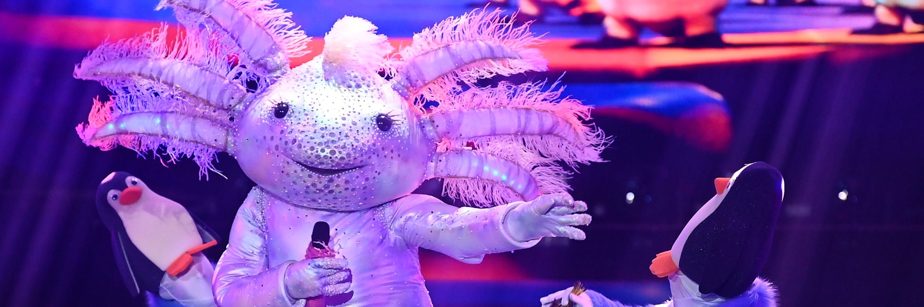 „The Masked Singer“: Heftige, neue Theorie enttarnt das Axolotl! Wagt ...