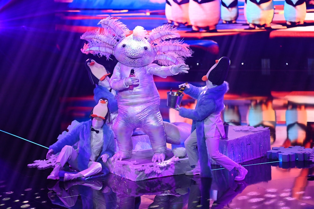 „The Masked Singer“: Neue Hinweise zum Axolotl enttarnen den nächsten ...