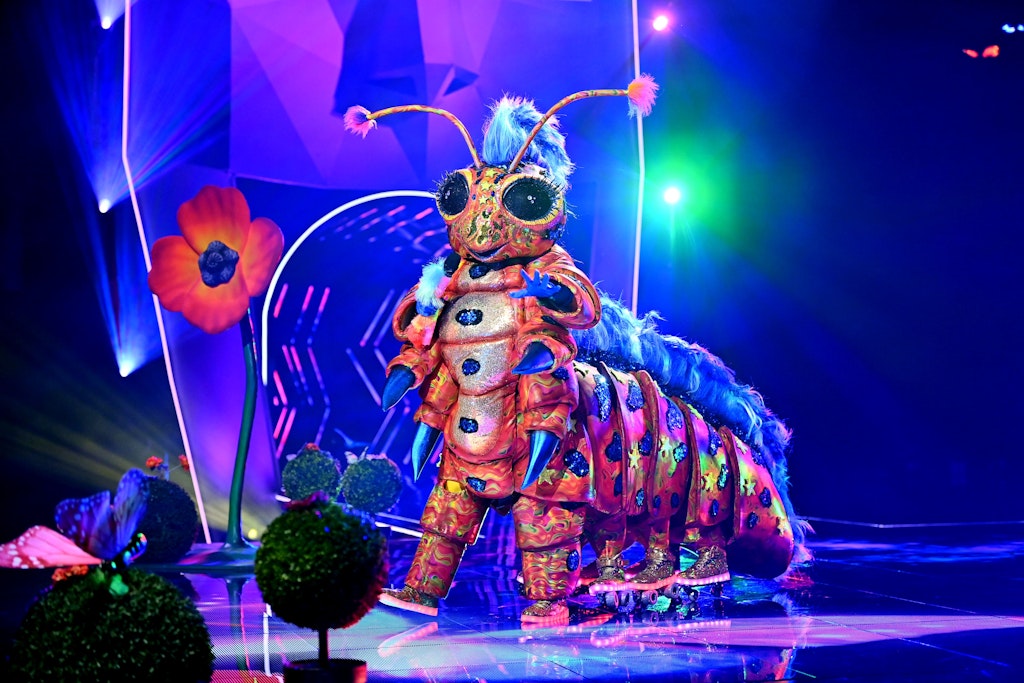 Ablenkungsmanöver bei „The Masked Singer“: Heldin, Raupe und Mülli Müller sind enttarnt! DIESE ...