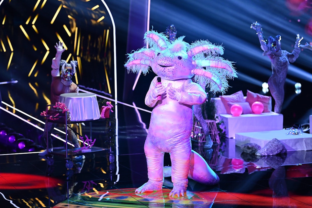 „The Masked Singer“: Mega-Überraschung! Axolotl und Teddy sind enthüllt ...