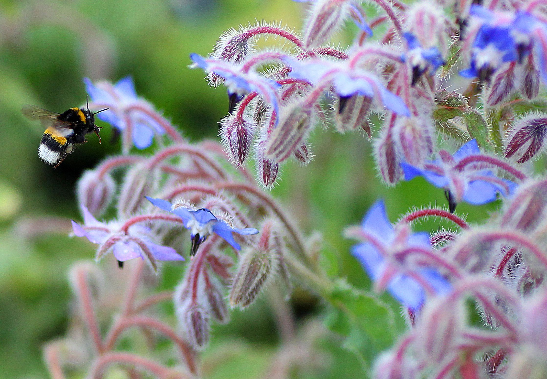 Richtig Gärtnern: Warum Sie sich jetzt um Ihren Rasen kümmern sollten