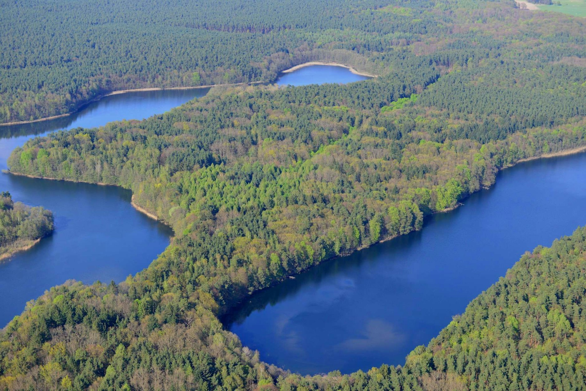 Carinhall: Was blieb von Görings Landsitz in der Schorfheide übrig ...