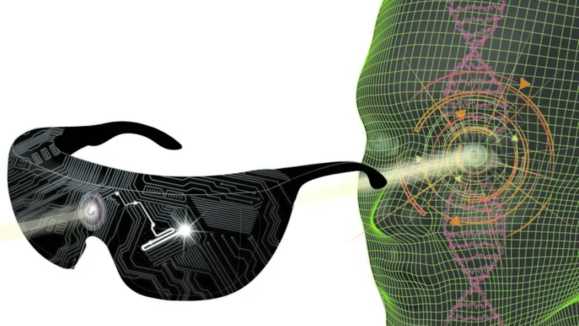 Optogenetik aus Berlin: Lichtfänger aus Algen lässt Blinden wieder sehen