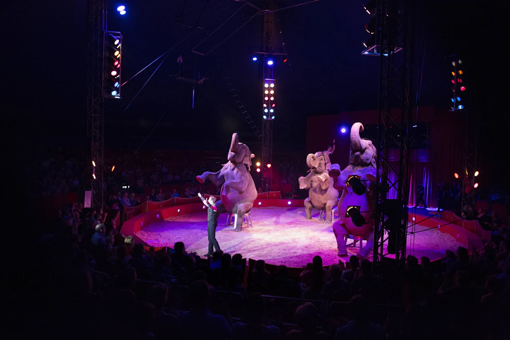 Schluss mit Ausbeutung: Erste Stadt Deutschlands verbietet ...