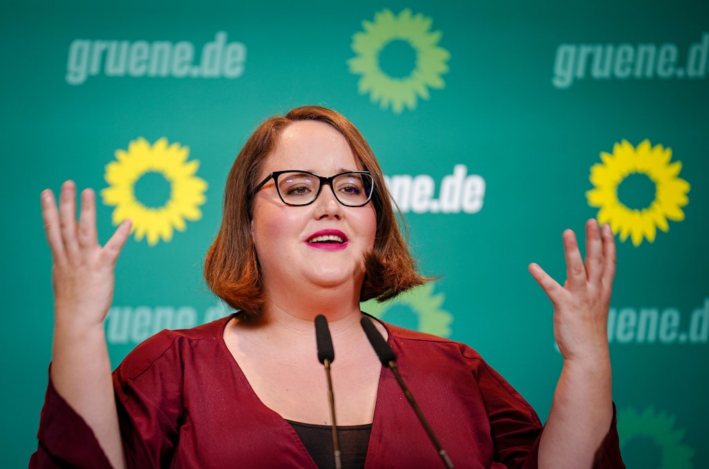 „Elefant“: AfD-Politiker beleidigt Grünen-Vorsitzende Ricarda Lang