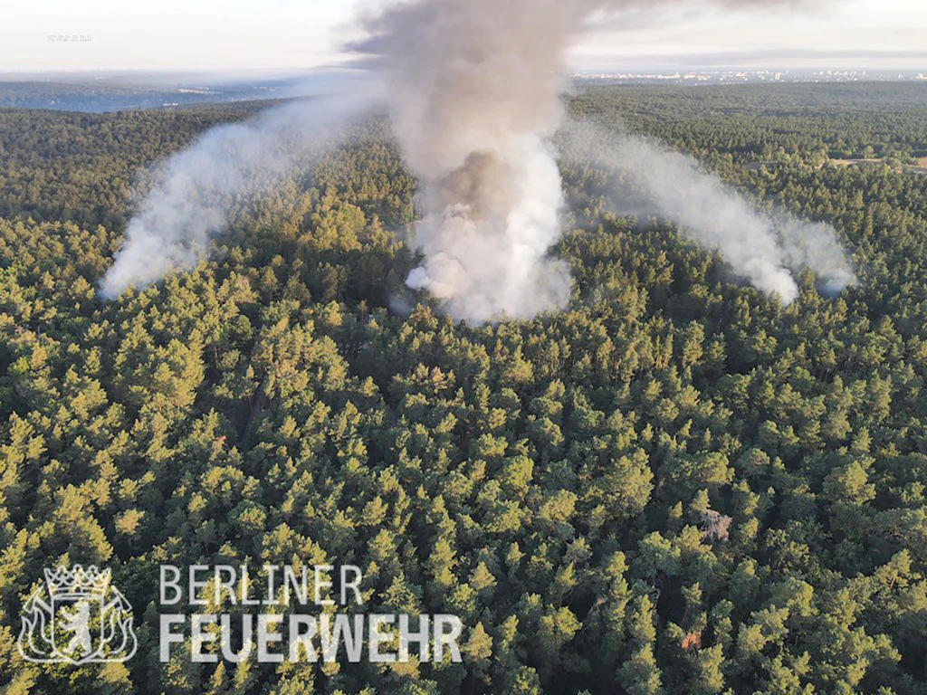 Explosion mit Ansage: Warum befindet sich mitten im Grunewald ein ...