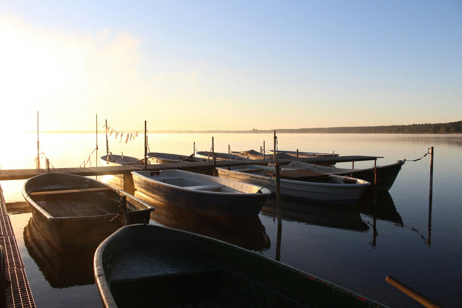 Ein Selbstversuch: Das erste Mal einen Fisch angeln