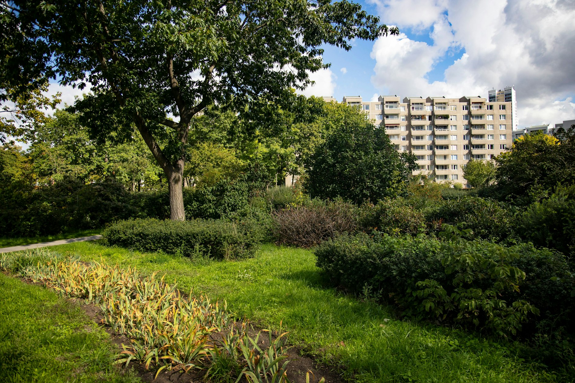 Die Gropiusstadt: Berliner Brennpunkt oder Stadt der Zukunft?