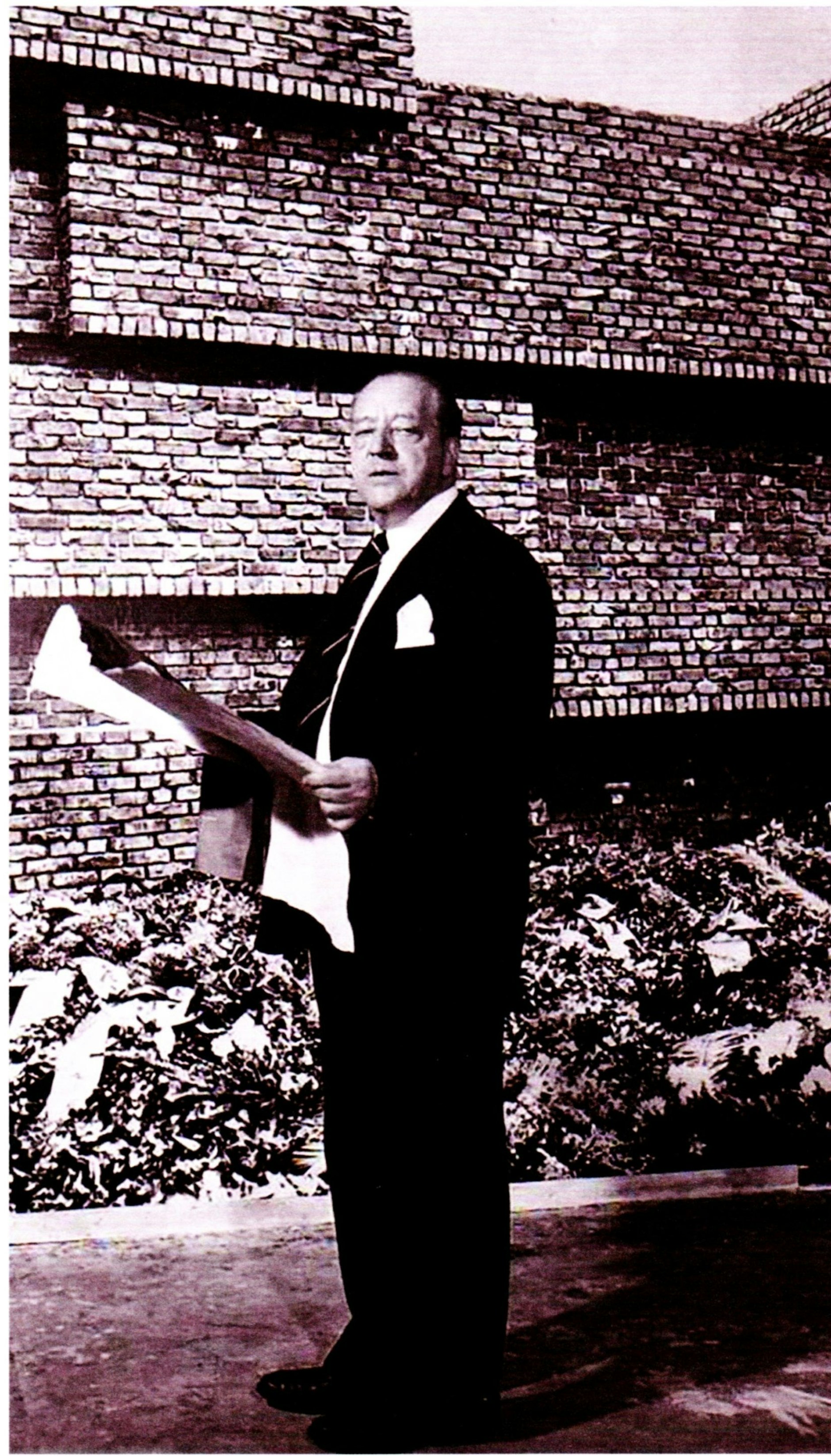Mies van der Rohe: Die Phantome des Bauhausmeisters