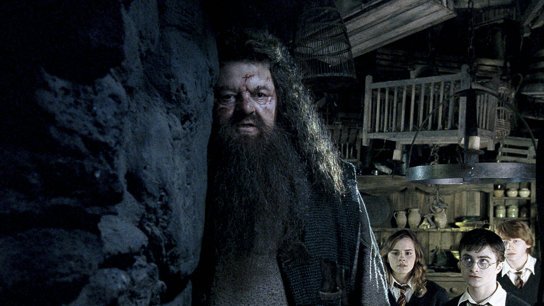 Er war „Hagrid“: Harry-Potter-Star Robbie Coltrane ist tot. Der ...