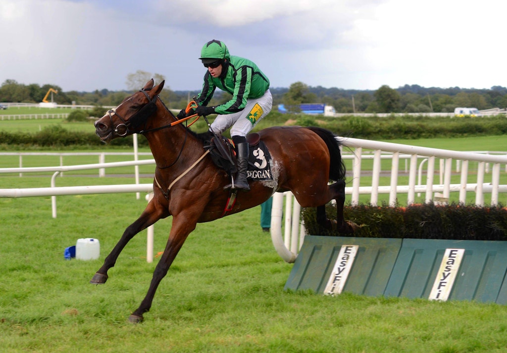 Pferd feiert Rennsieg in Pub und trinkt Bier – Tierschützer entsetzt