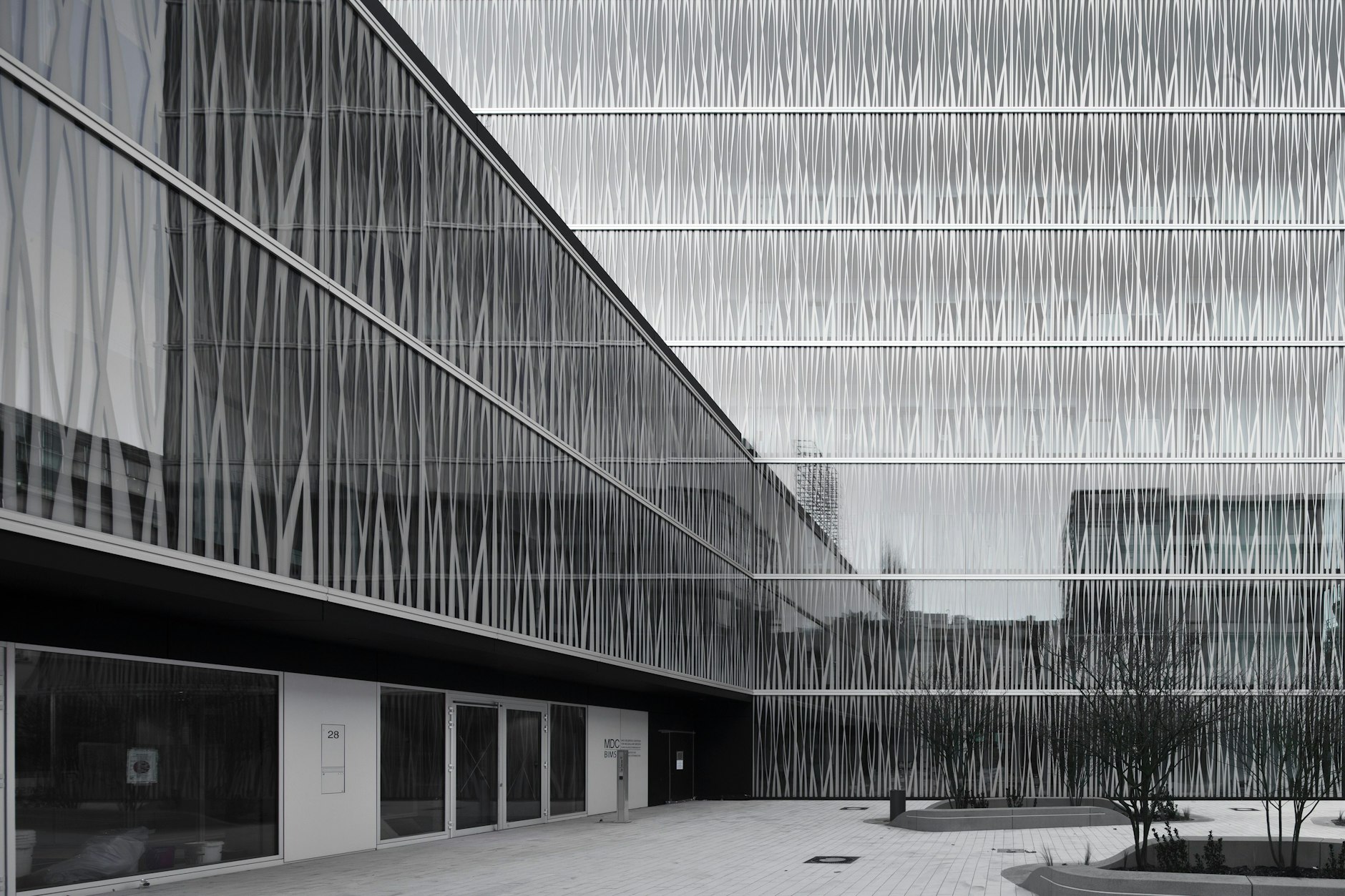 Krankheiten beginnen in Genen und Zellen: Das Max-Delbrück-Center wird ...