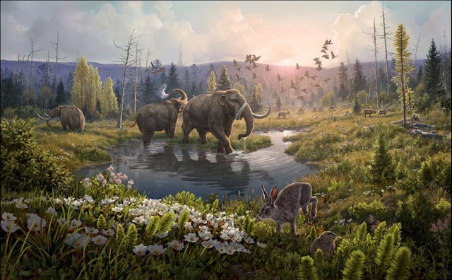 Zwei Millionen Jahre altes Erbgut: Uralte Welt in Grönland wiederentdeckt