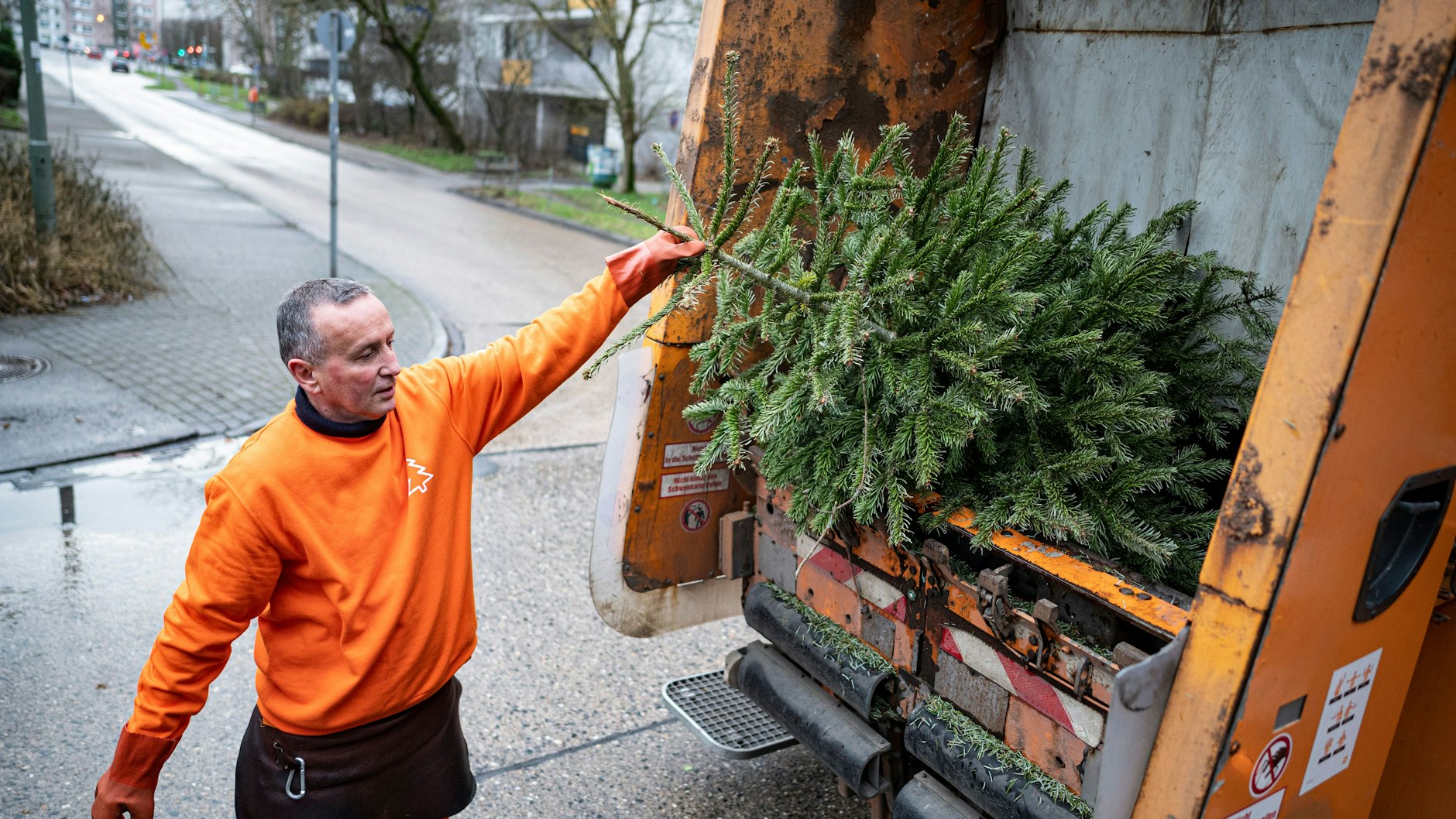 Alte Weihnachtsbäume in Berlin: Dieser Dreck nervt! So können Sie ...