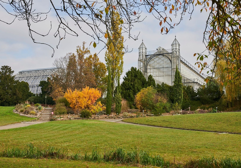 Berlin: Mittelmeerhaus im Botanischen Garten schließt für längere Zeit