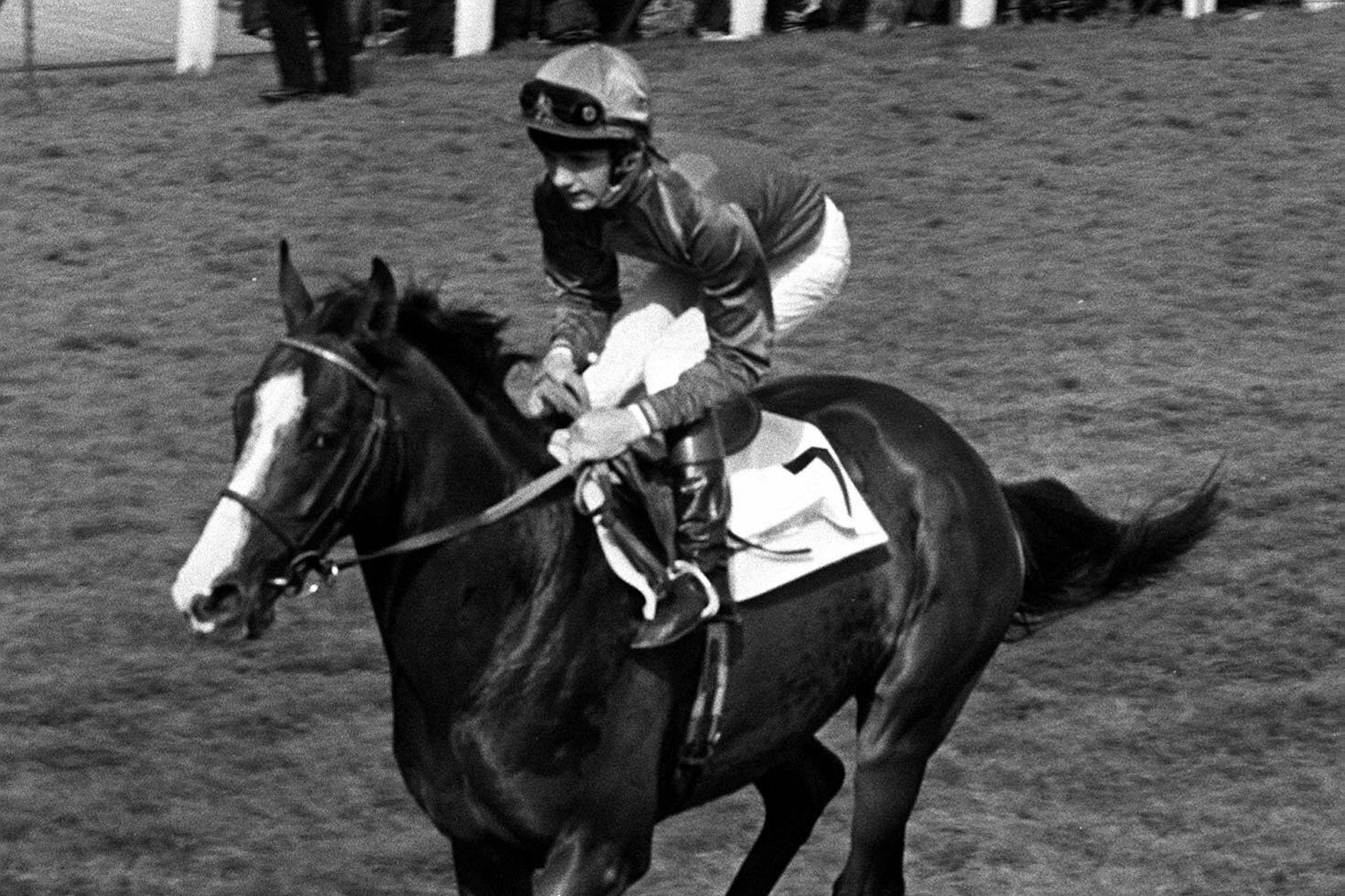 Wo ist Shergar? Vor 40 Jahren wurde Irlands „Wunderpferd“ entführt