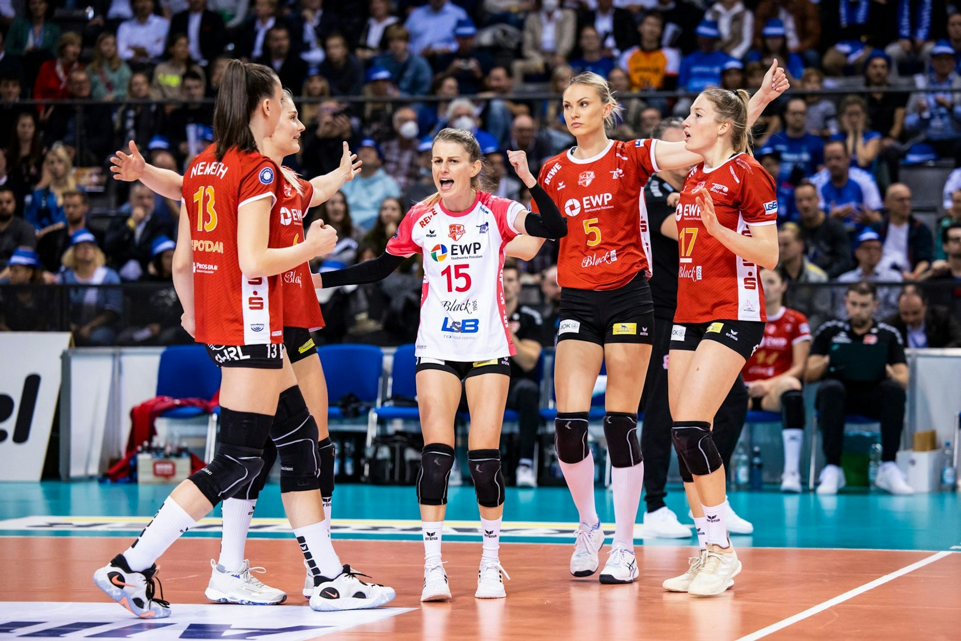 SC Potsdam im CEV-Pokal: „Das wird nicht einfach“