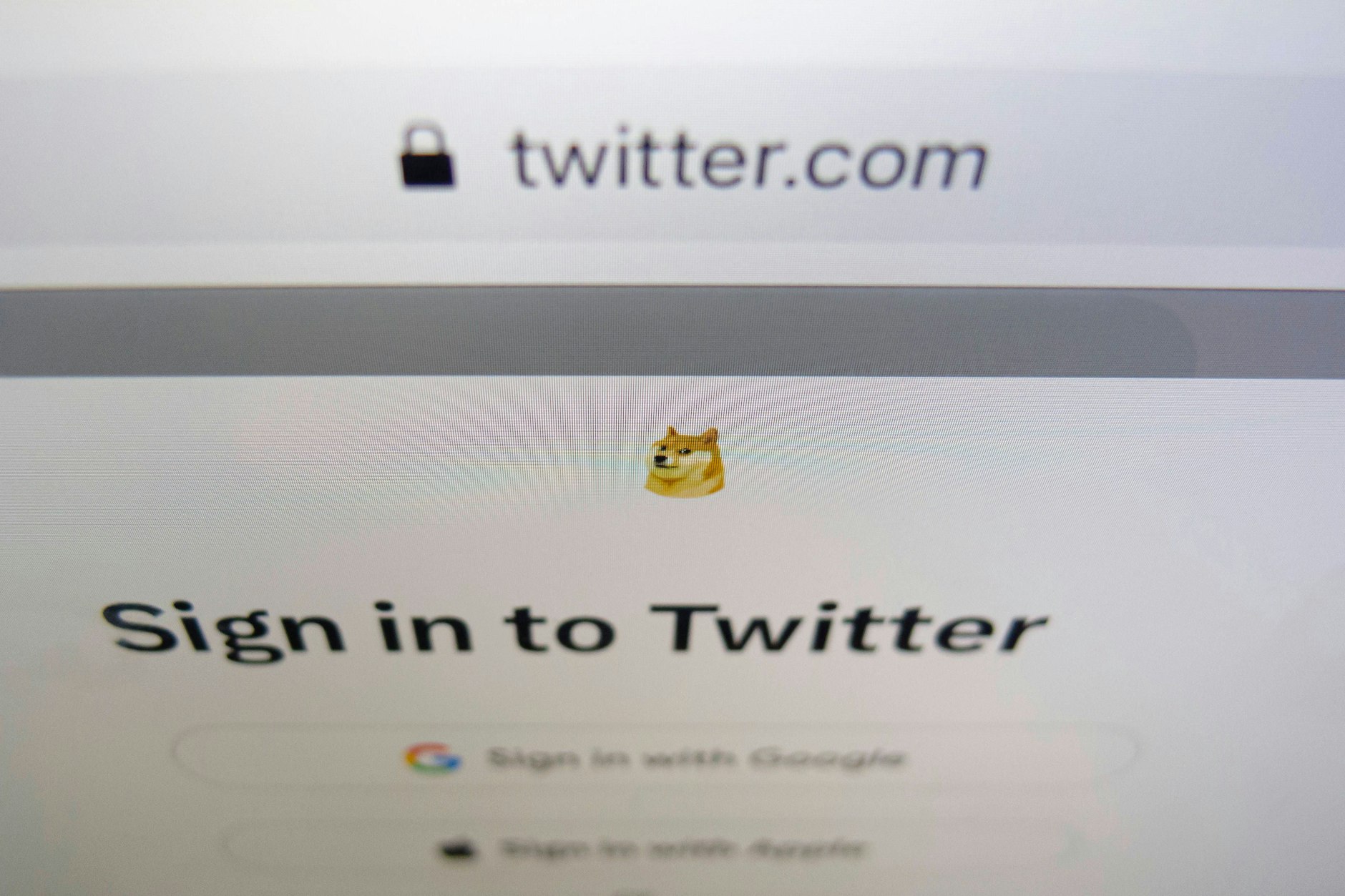 Elon Musk: Jetzt macht er Doge zum Twitter-Logo