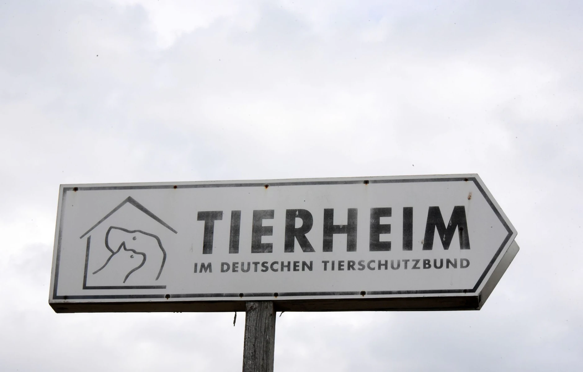 Tierheim baut neue Quarantänestation für Katzen