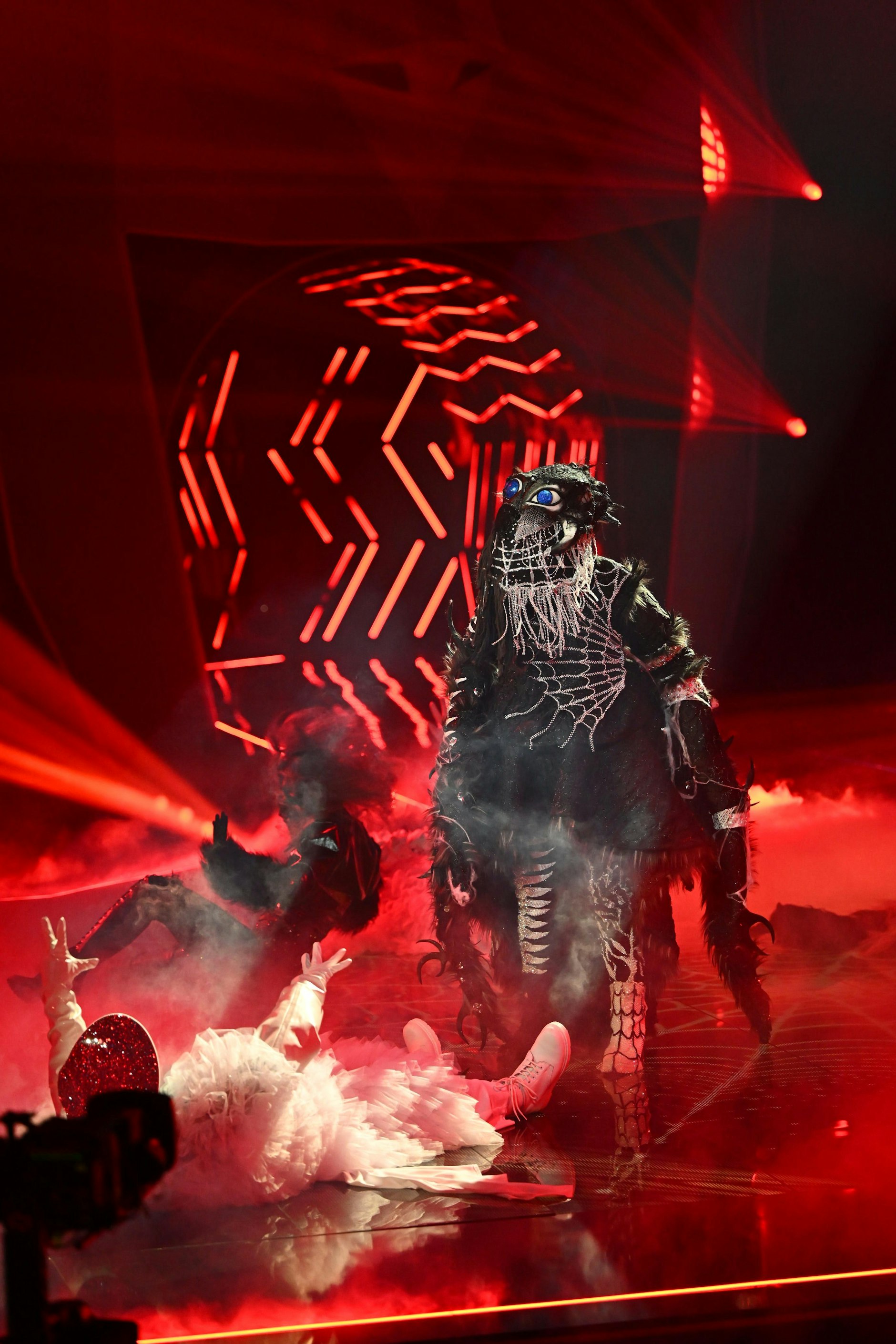 Spinne Diamantula bei „The Masked Singer”: DAS nervt die Fans richtig!