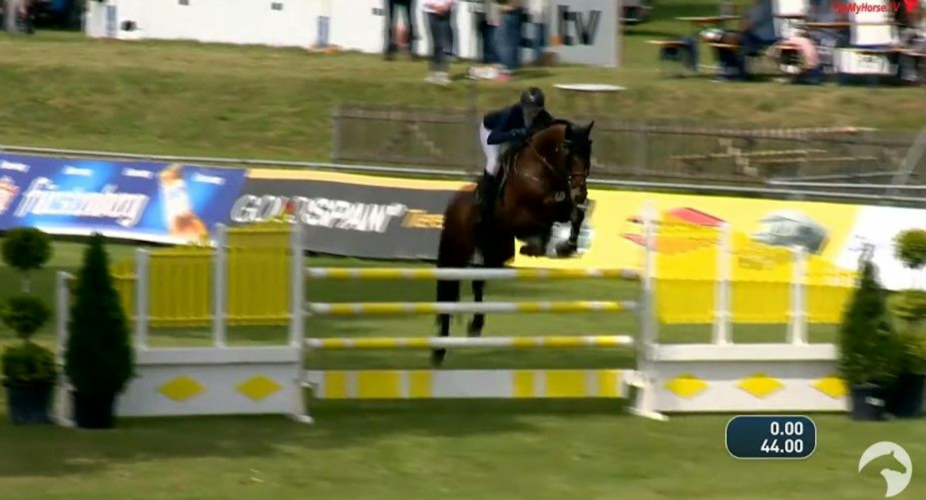 „Bares für Rares“-Star Susanne Steiger: Vom Pferdestall ins Fernsehstudio