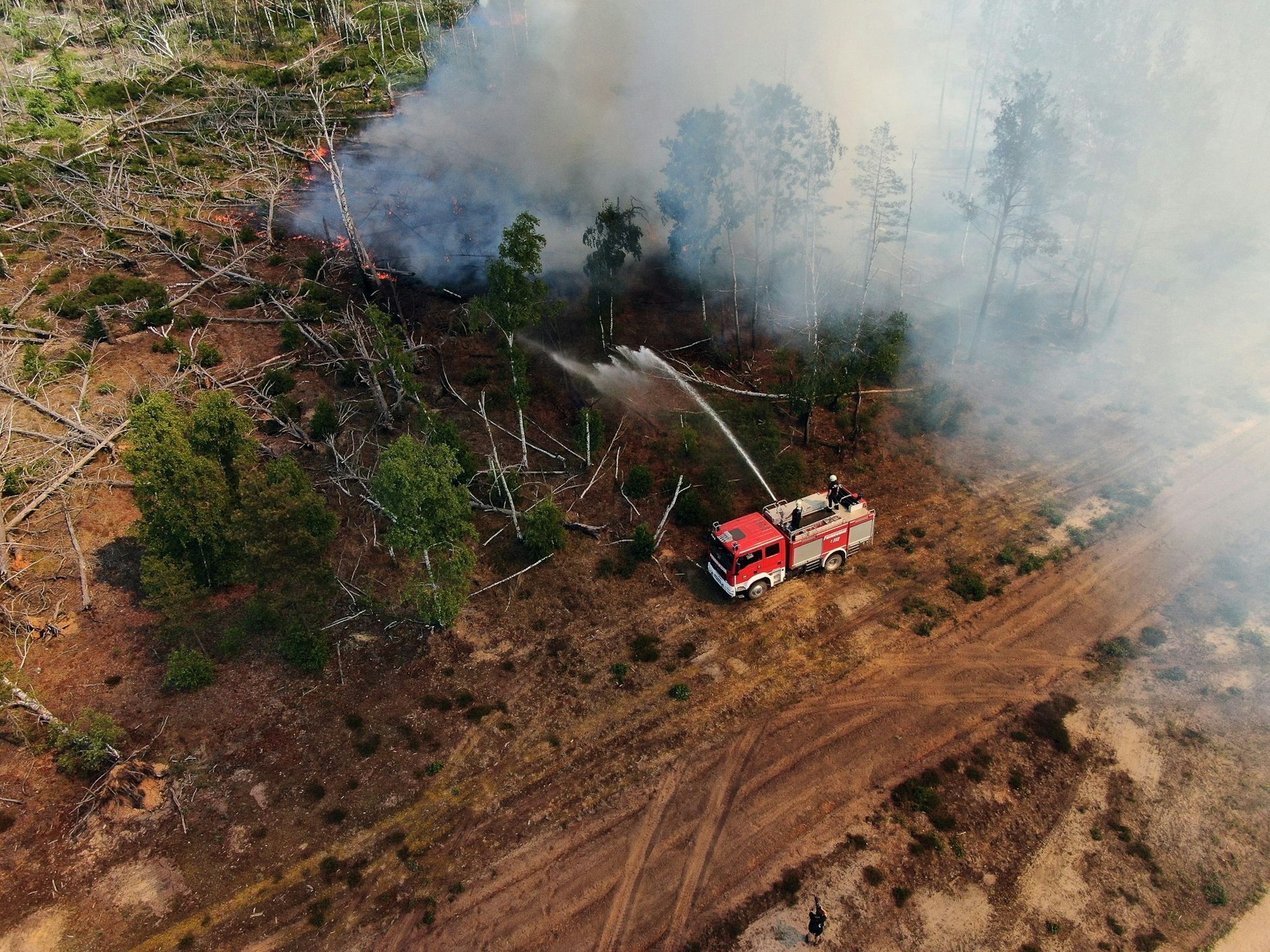 Expertin über Waldbrand bei Jüterbog: „Worst Case“ eingetreten ...