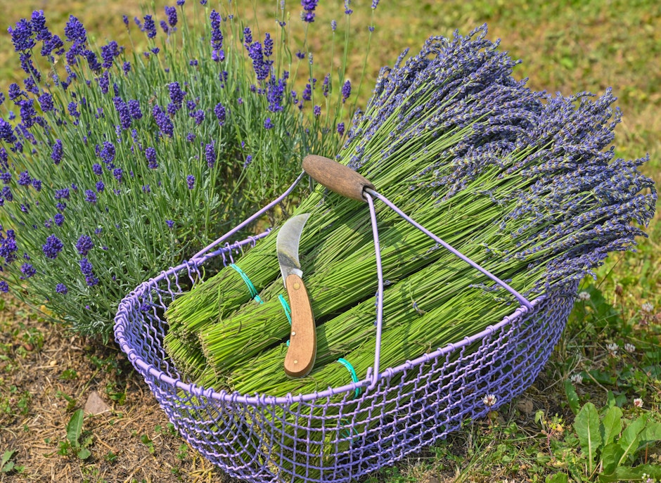 Uckermark: Wo kann man übernachten, was Tolles erleben? Tipps für den ...