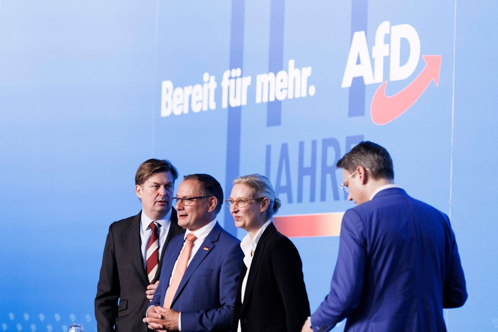 Verfassungsschutz: AfD verbreitet extremistische Verschwörungstheorien auf Parteitag