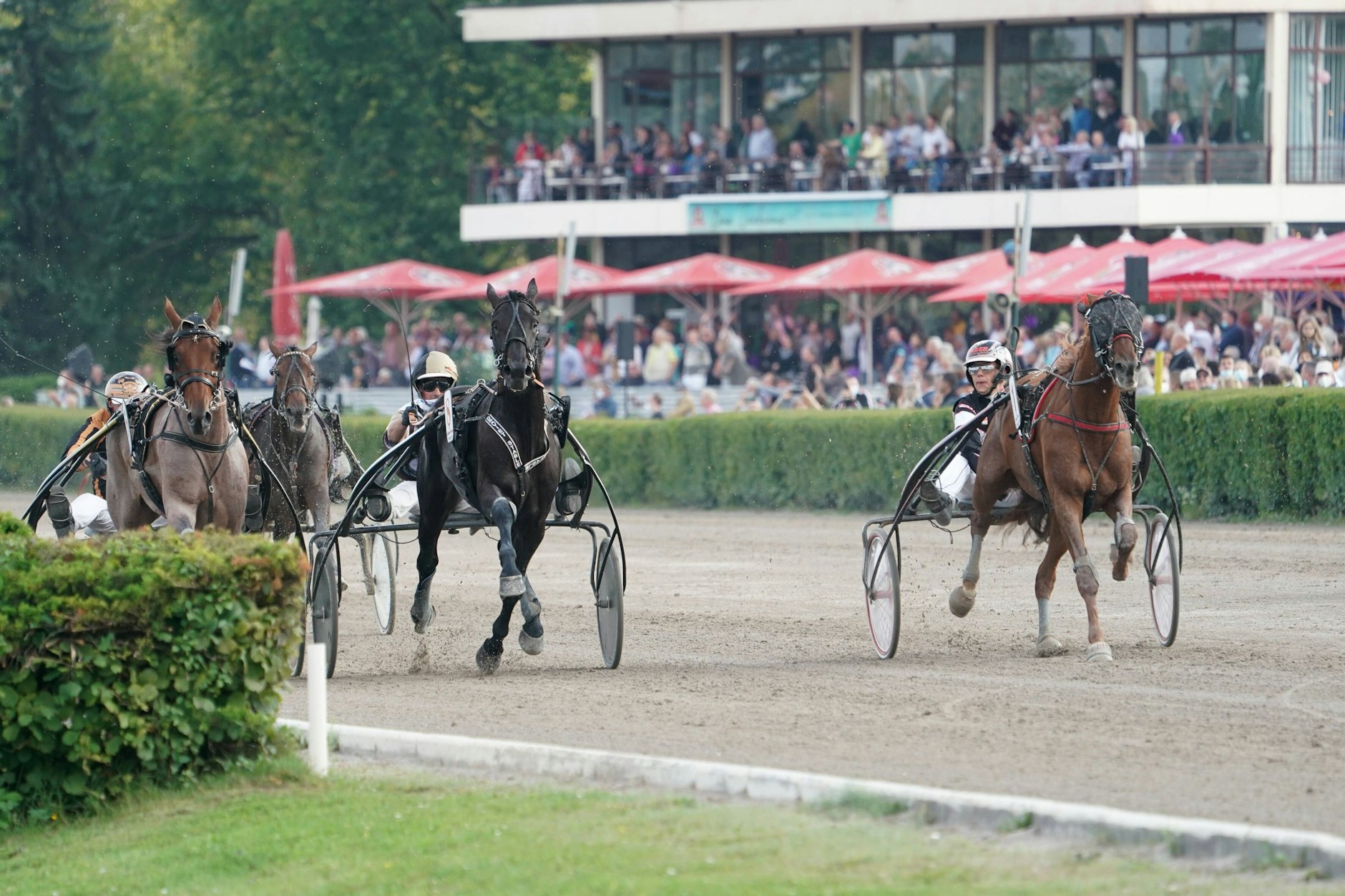 Gio Cash und Y Not Diamant sind die Favoriten für das 128. Deutsche ...