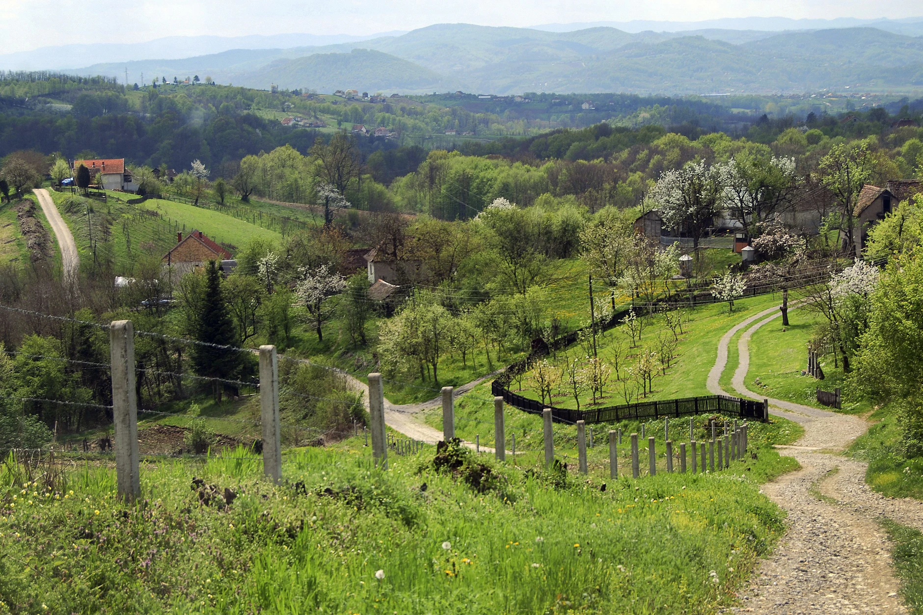 Lithiumabbau: Wie sich ein Dorf in Serbien gegen den Bergbaugiganten ...