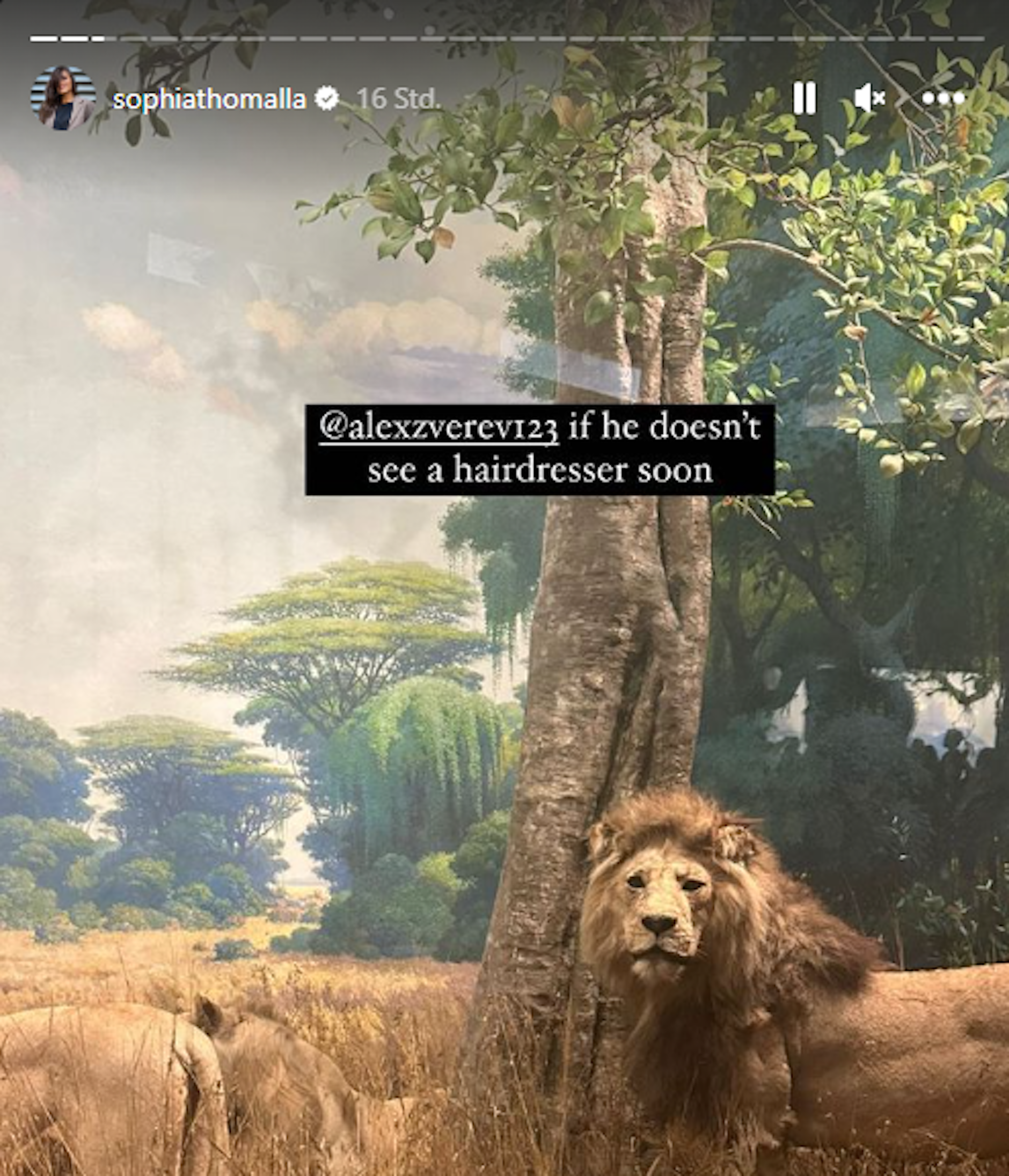 Fies: So macht sich Sophia Thomalla über Alexander Zverev lustig