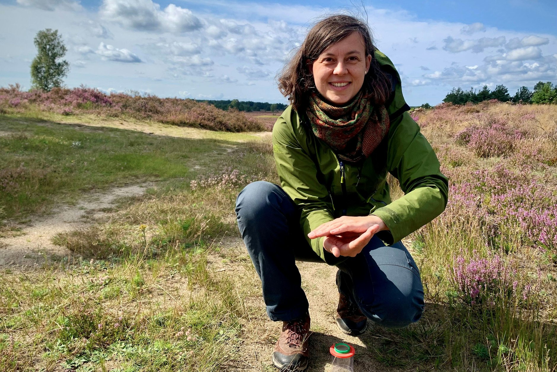 Ein lila Wunder in Brandenburg: Die Heide blüht und wird von Satelliten ...