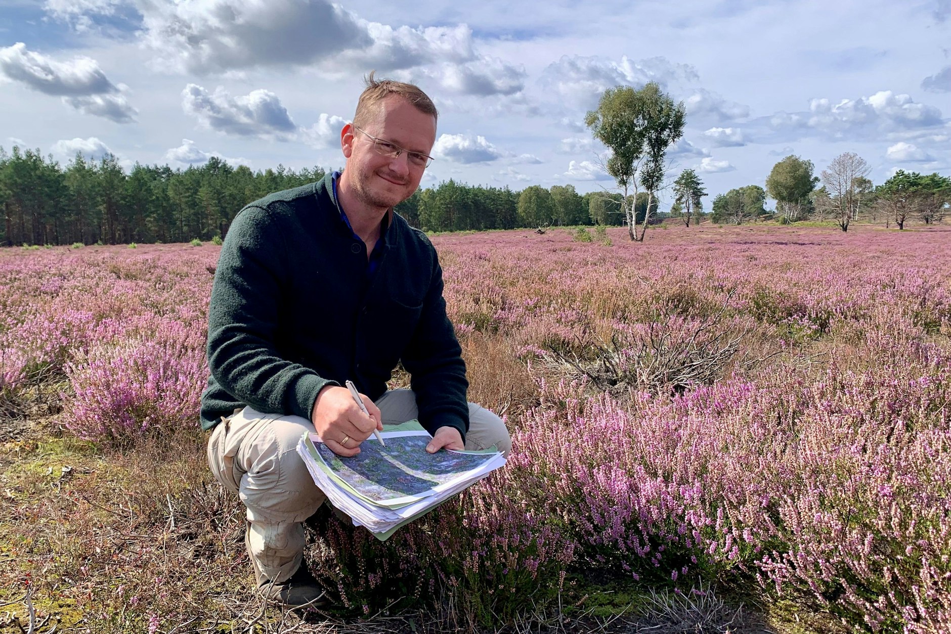Ein lila Wunder in Brandenburg: Die Heide blüht und wird von Satelliten ...